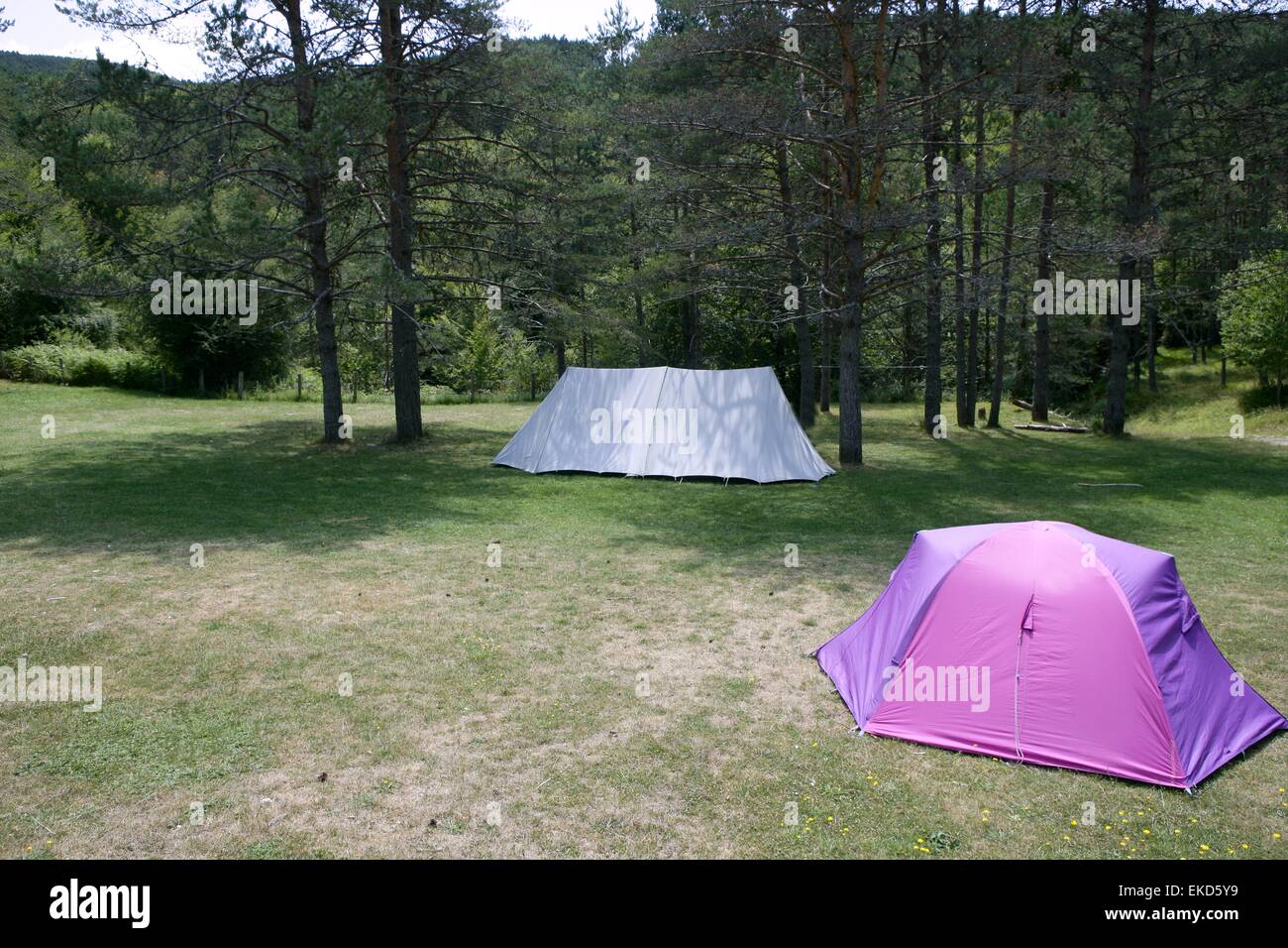 Camping tent field over green grass Stock Photo - Alamy