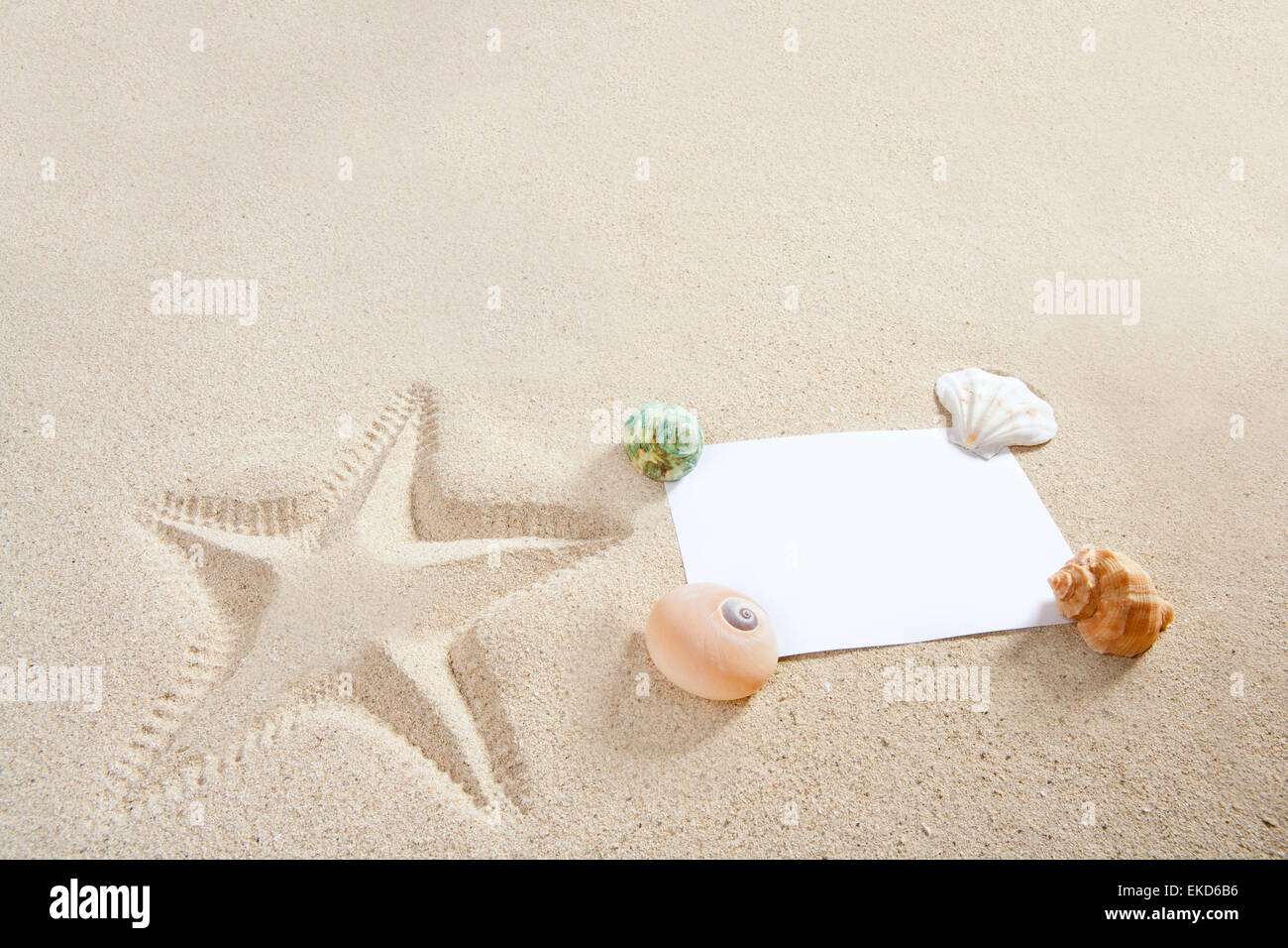 blank paper beach sand starfish pint shells summer Stock Photo - Alamy