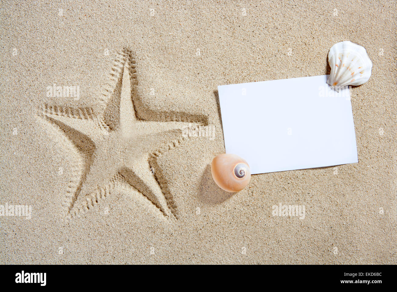 blank paper beach sand starfish pint shells summer Stock Photo - Alamy