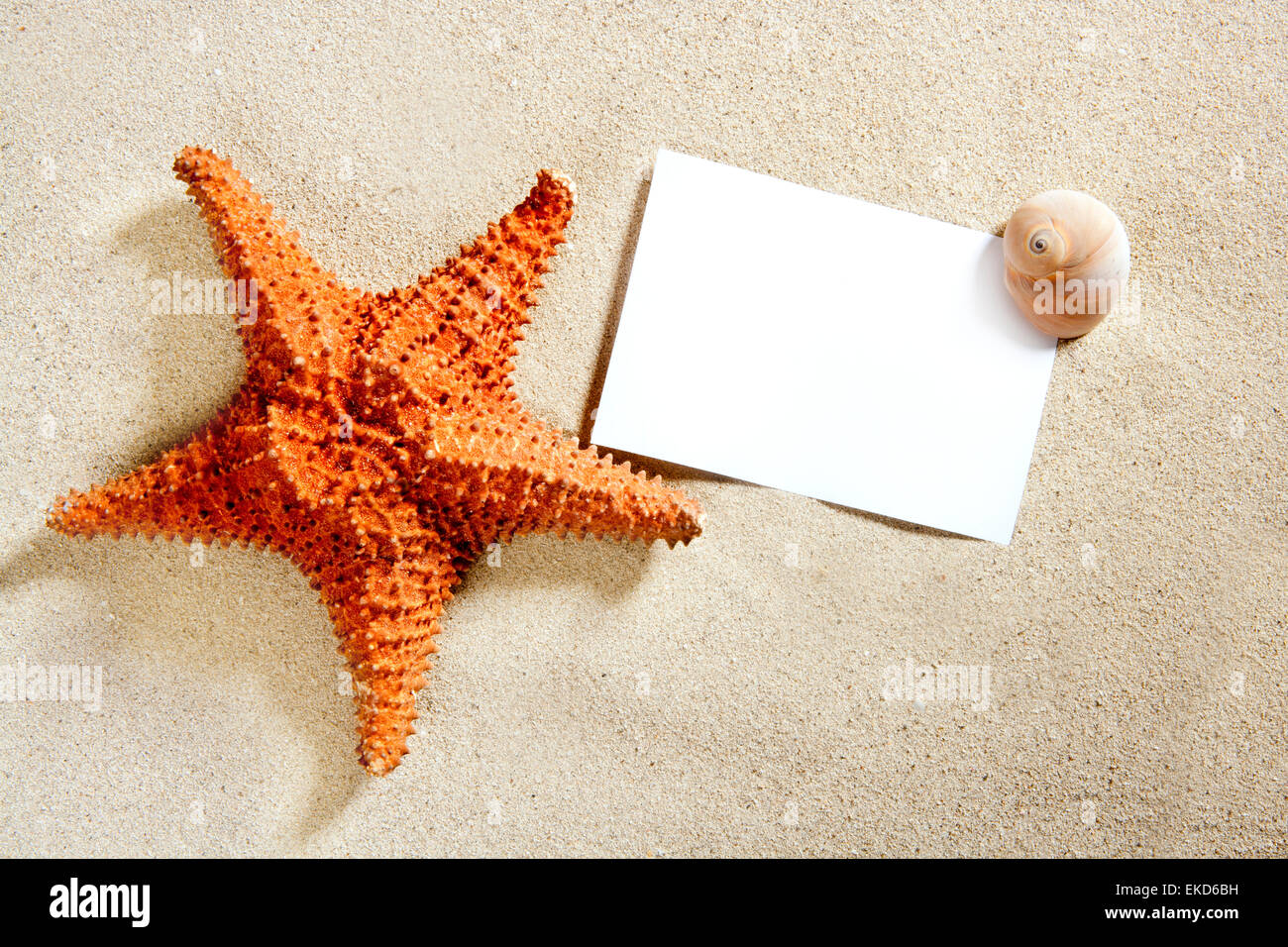 blank paper beach sand starfish shells summer Stock Photo - Alamy
