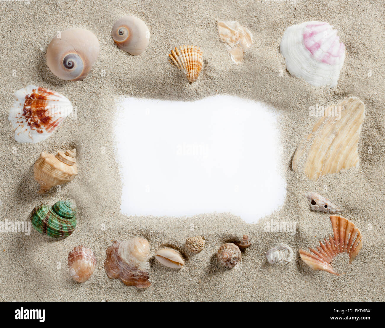 border frame summer beach shell blank copy space Stock Photo - Alamy