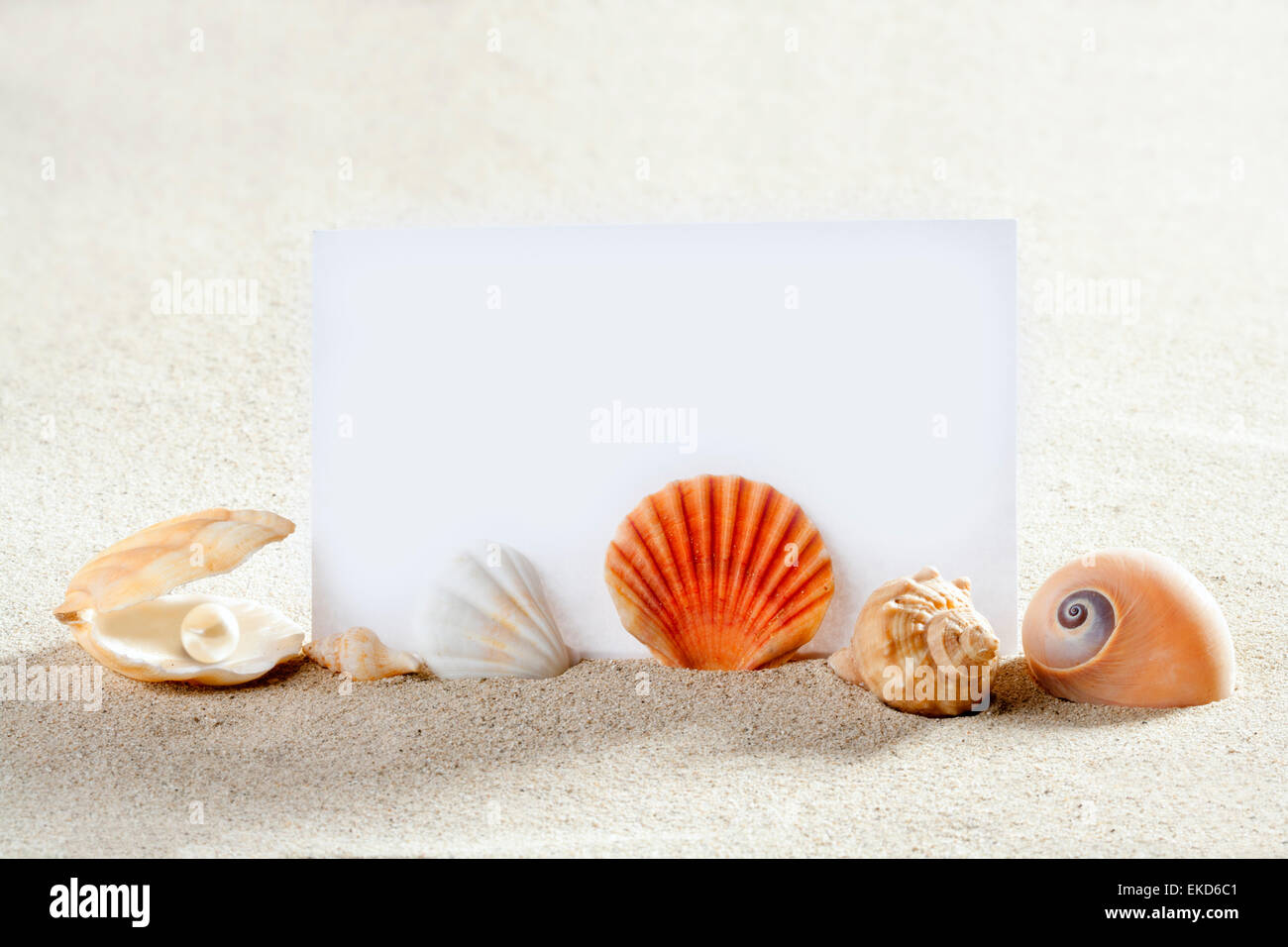 beach vacation sand pearl shells snail blank paper Stock Photo - Alamy