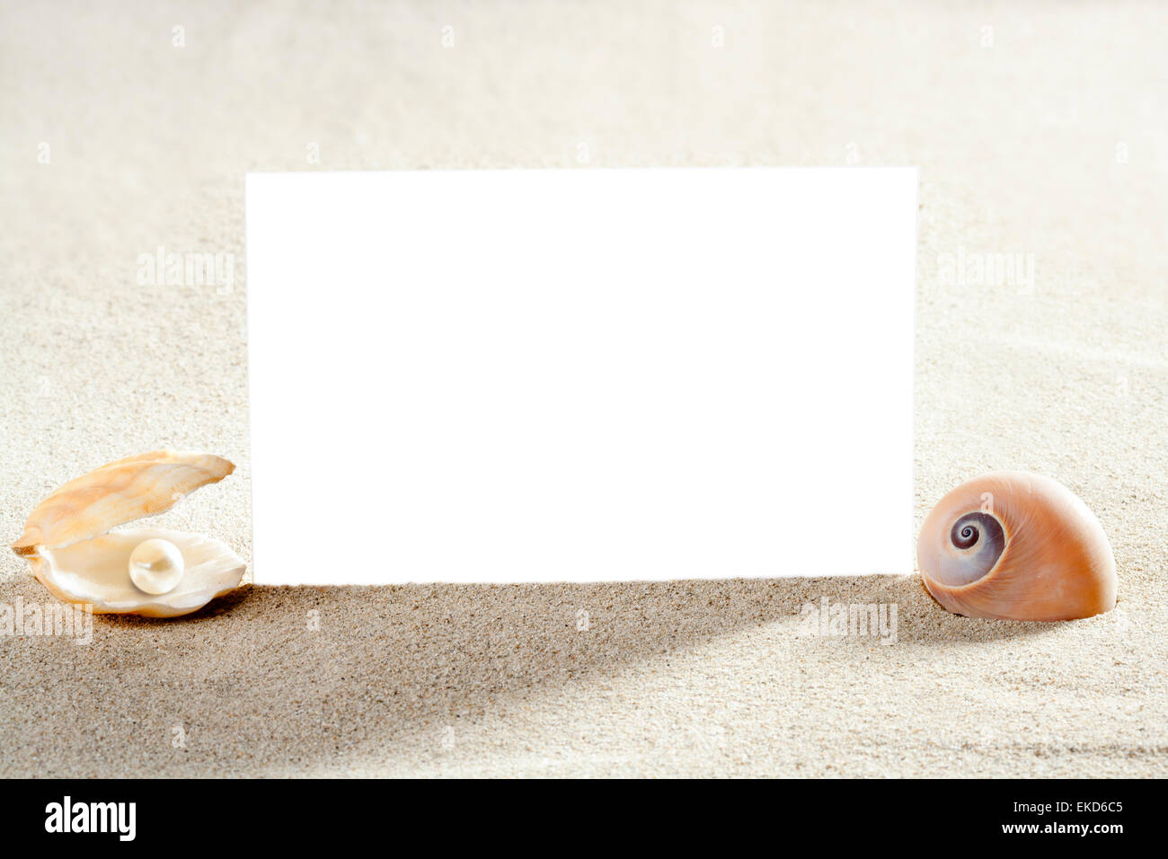 beach vacation sand pearl shells snail blank paper Stock Photo - Alamy