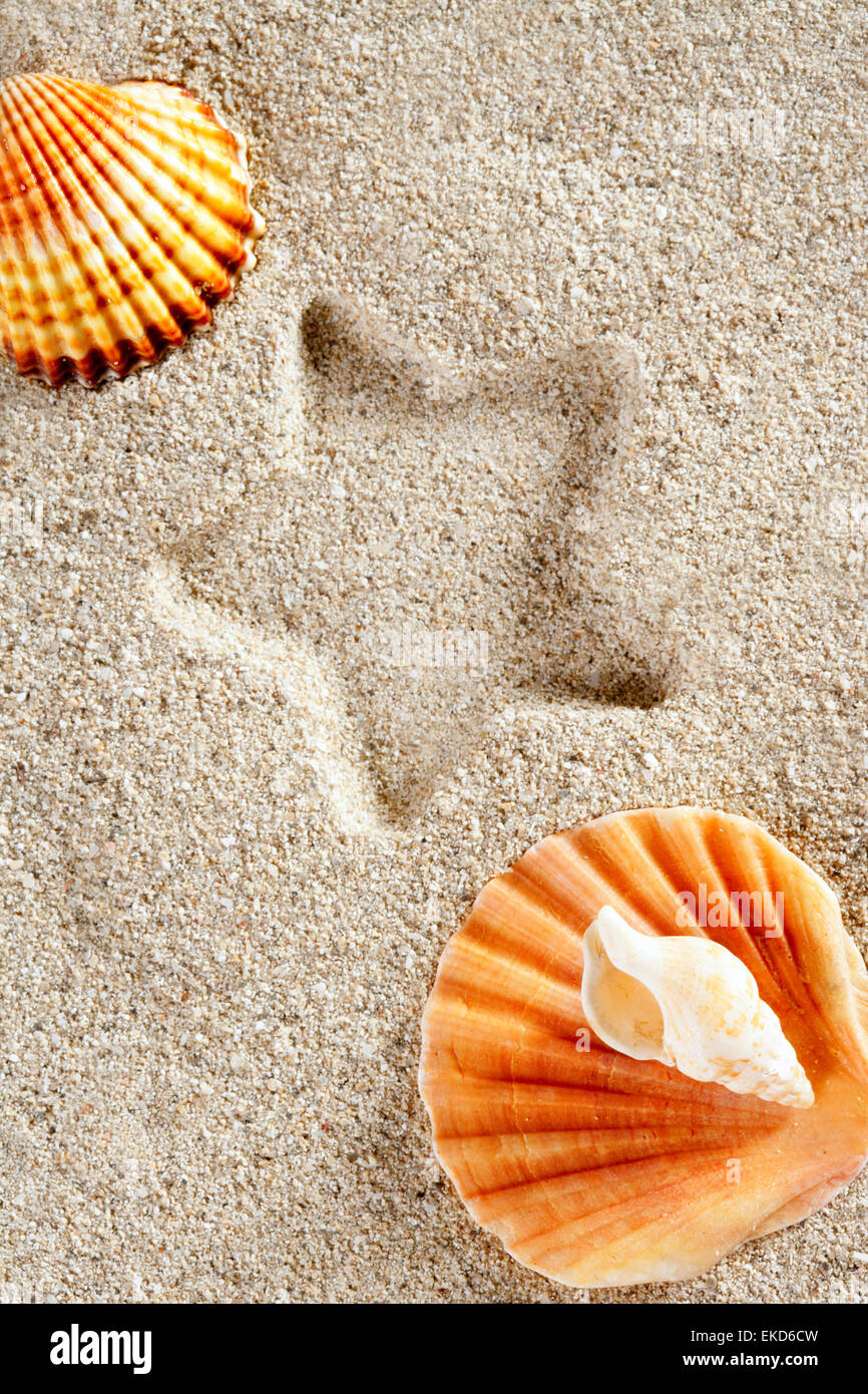 beach sand summer clam shell star print vacation Stock Photo - Alamy