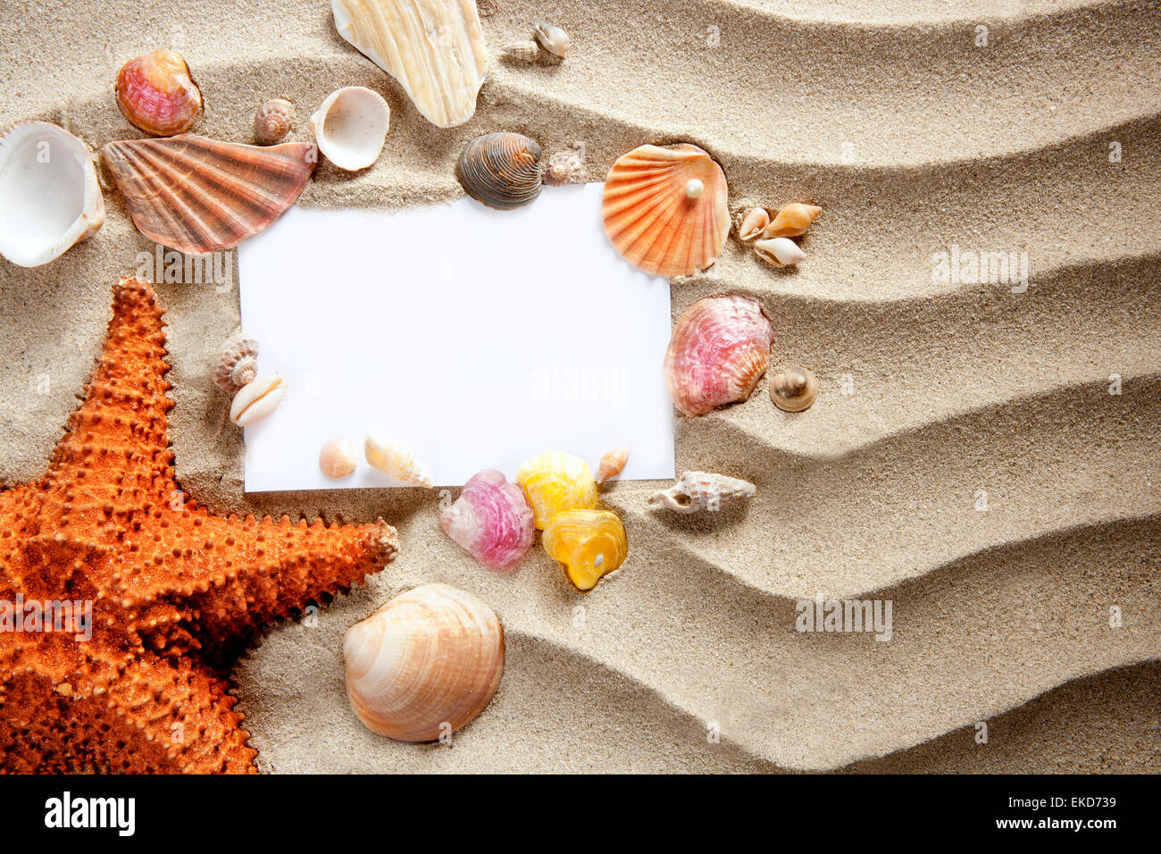 copyspace blank space summer starfish sand shells Stock Photo - Alamy