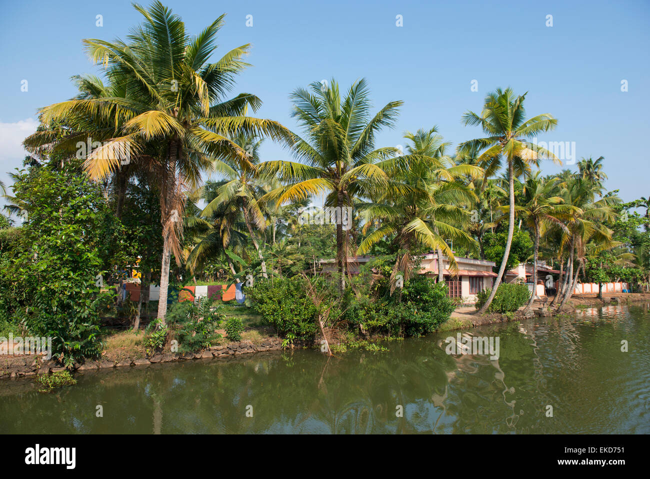 The Backwaters of Kumarakom, Kerala India Stock Photo - Alamy