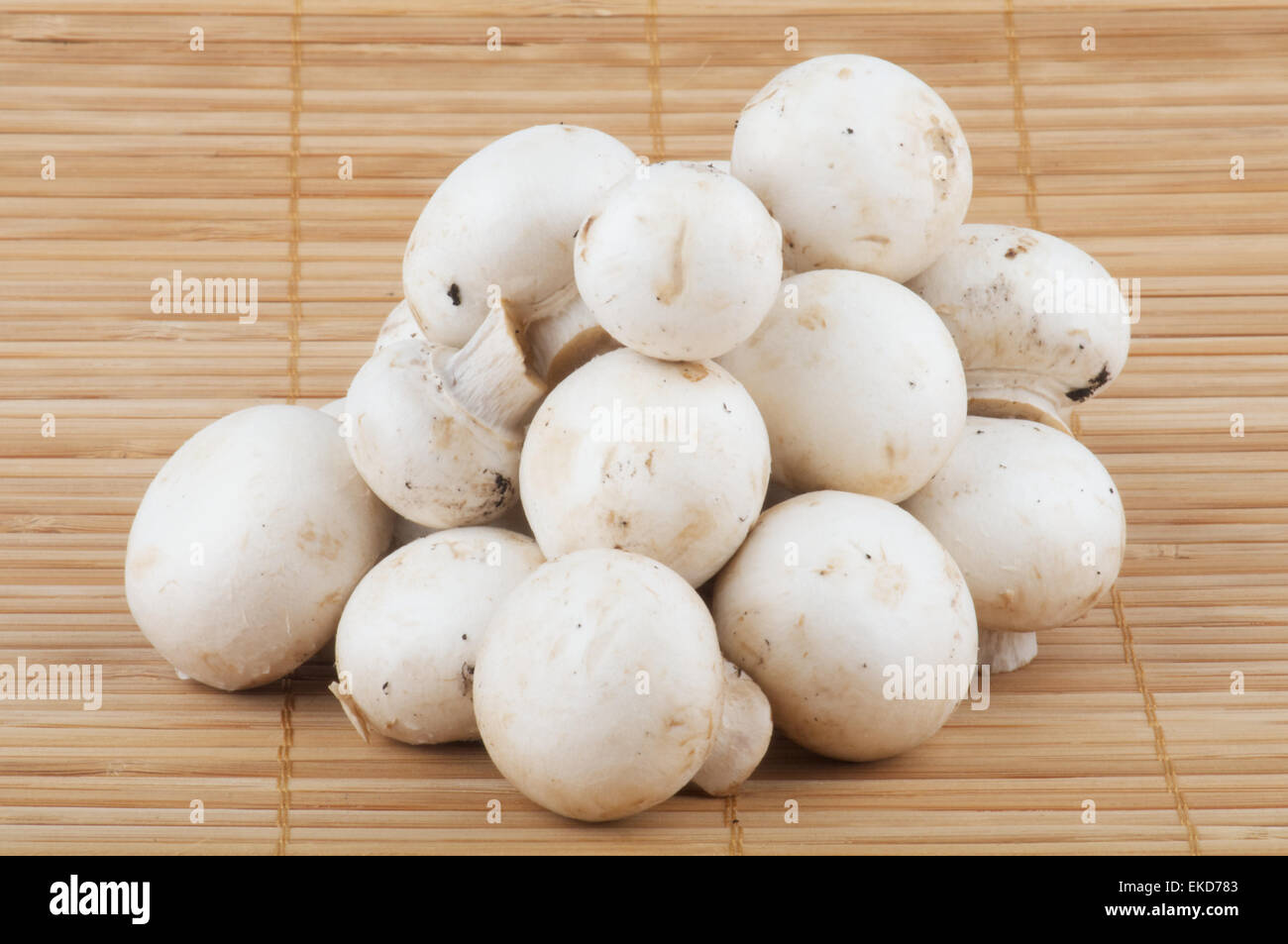 White Champignon Mushroom Stock Photo - Alamy