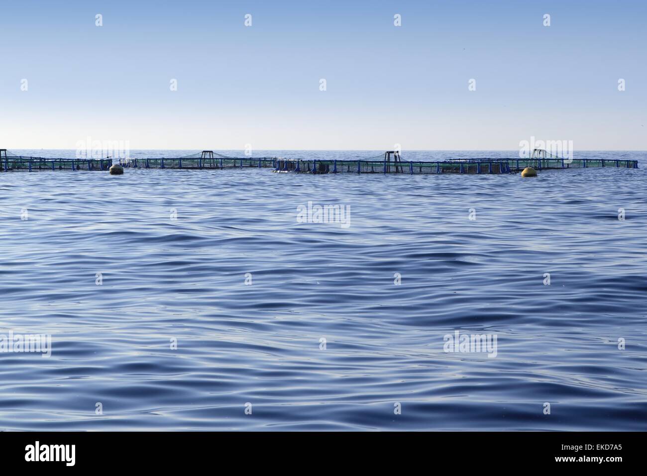 fish farm on blue ocean sea horizon Stock Photo - Alamy