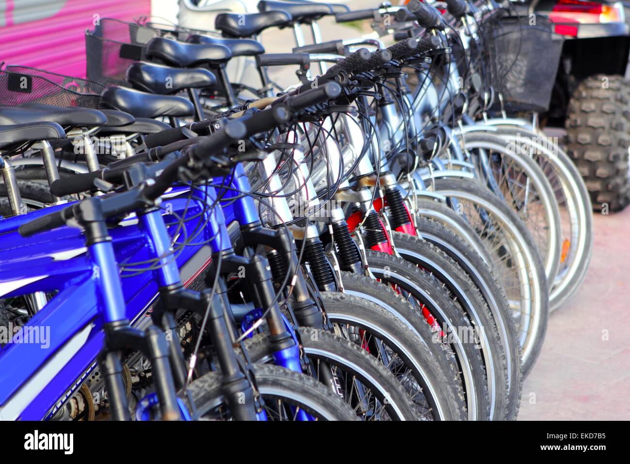 bicycles in a row many in a cycle rent store Stock Photo - Alamy