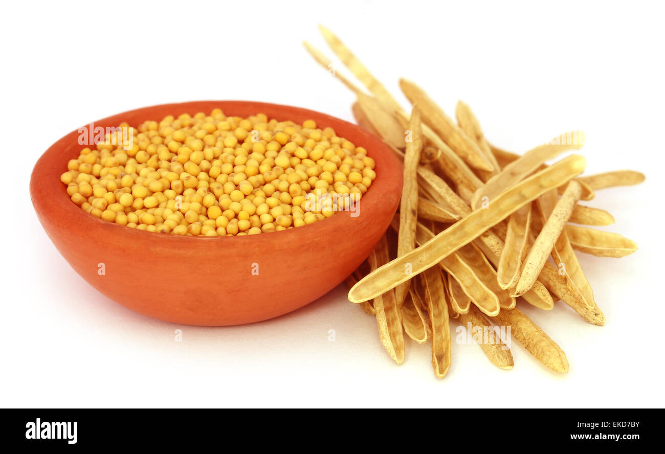 Dried seed pods yellow Cut Out Stock Images & Pictures - Alamy