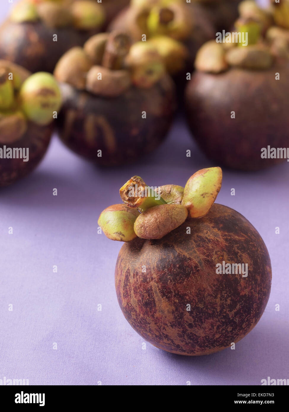 Closeup mangosteen hi-res stock photography and images - Alamy