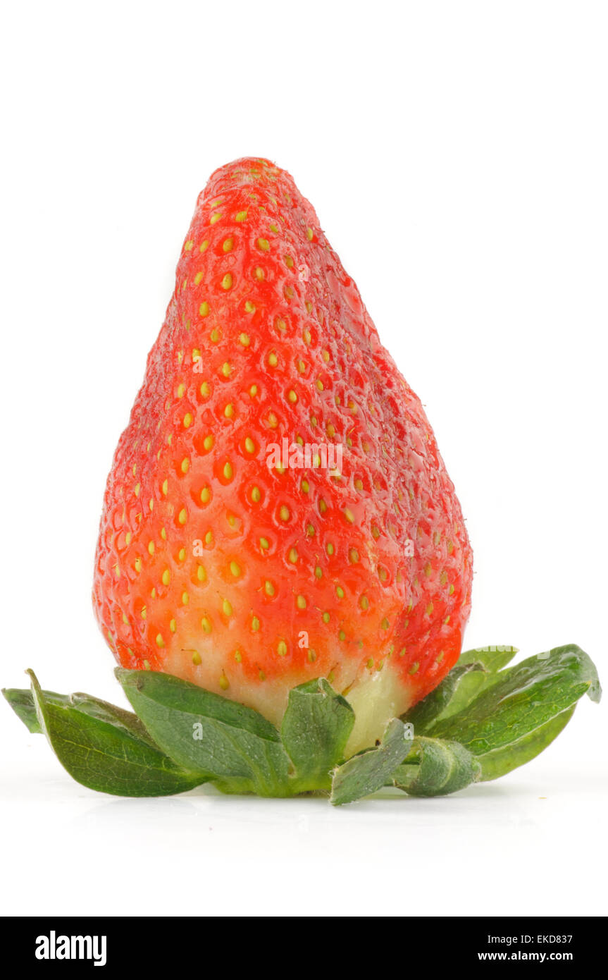 Fresh Ripe Perfect Strawberry Stock Photo - Alamy