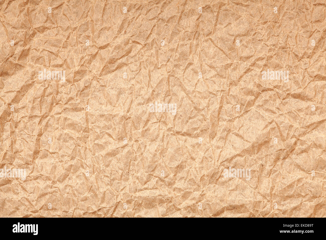 Crumpled leaf hi-res stock photography and images - Alamy