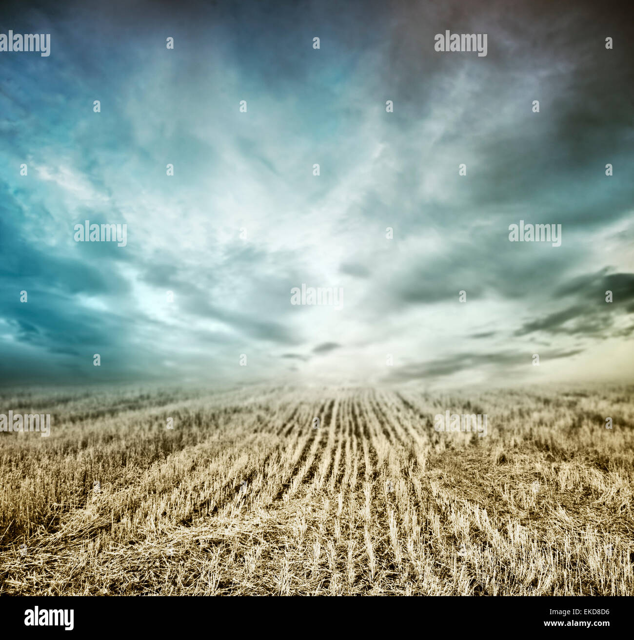 landscape with the sky and the field Stock Photo - Alamy
