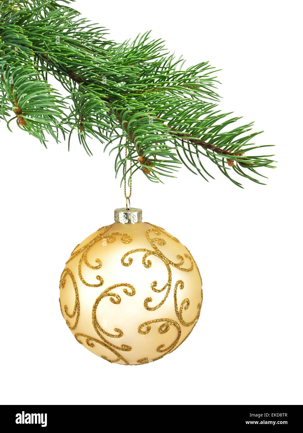 Branch of Christmas tree Stock Photo - Alamy