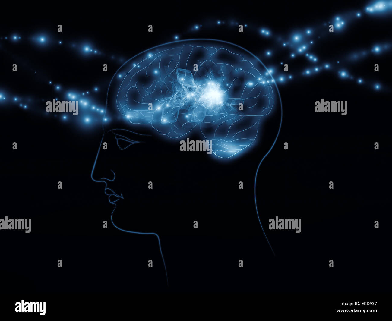 Human head and brain Stock Photo - Alamy