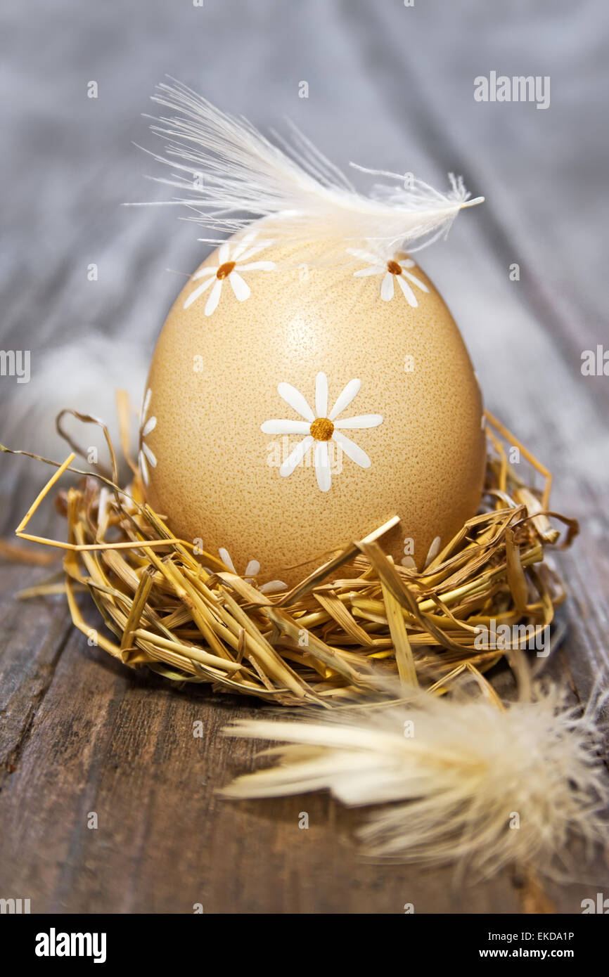 Easter egg in nest Stock Photo - Alamy