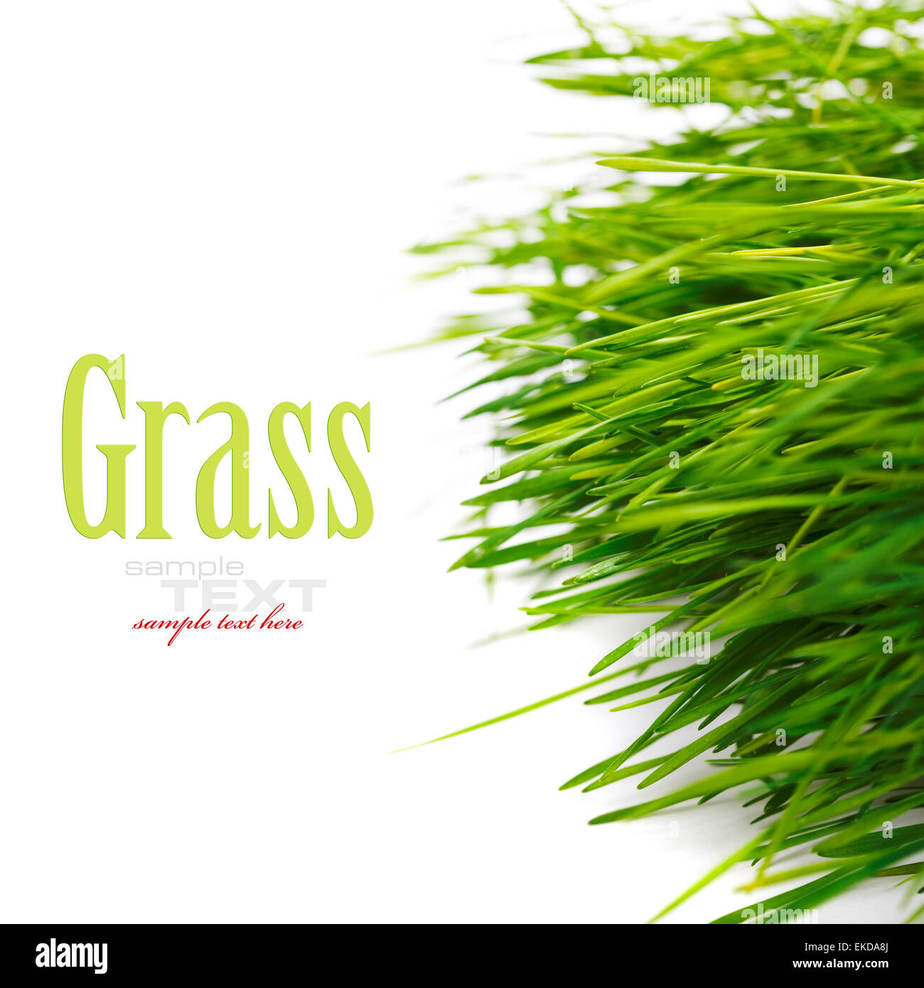 Farm grass sample hi-res stock photography and images - Alamy