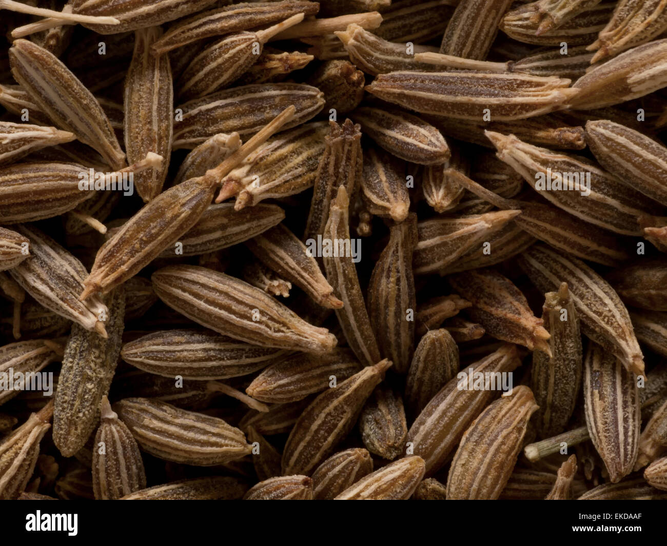 Cuminium hi-res stock photography and images - Alamy