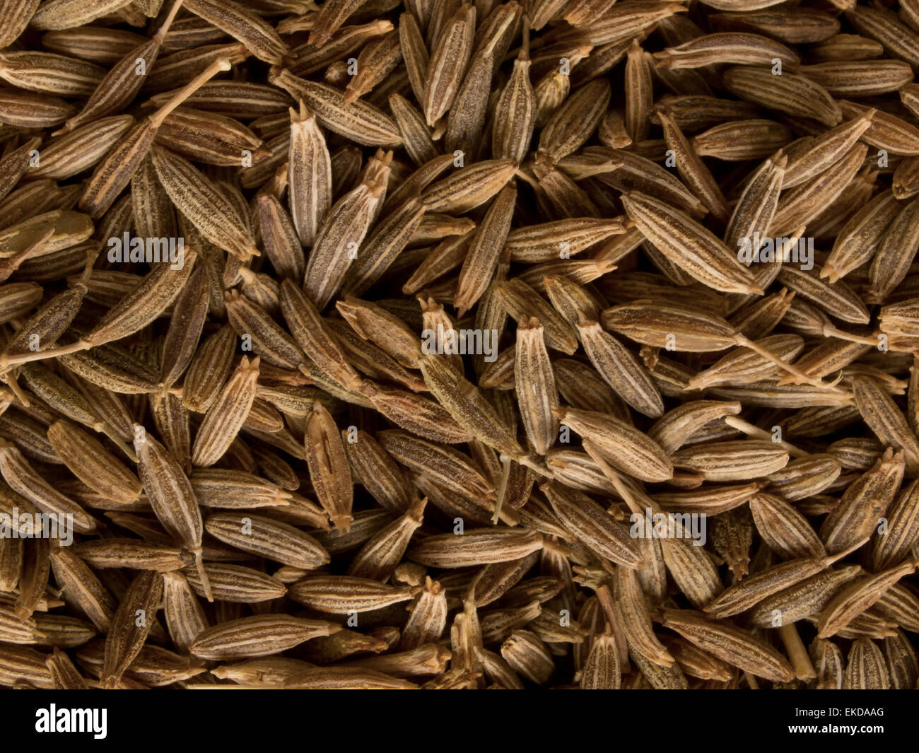 Dried cumin seeds hi-res stock photography and images - Alamy