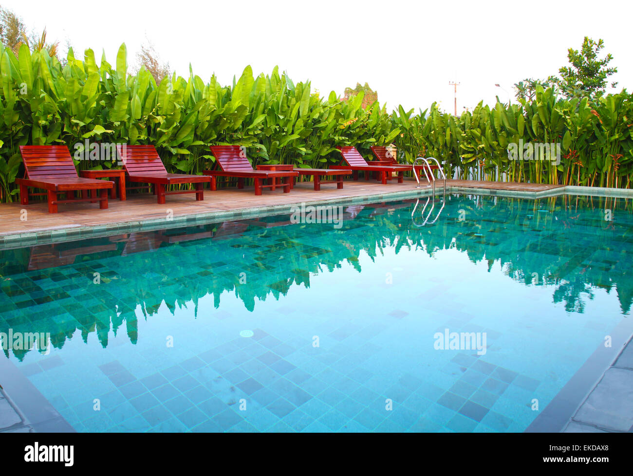 Plants concept tropical hi-res stock photography and images - Alamy