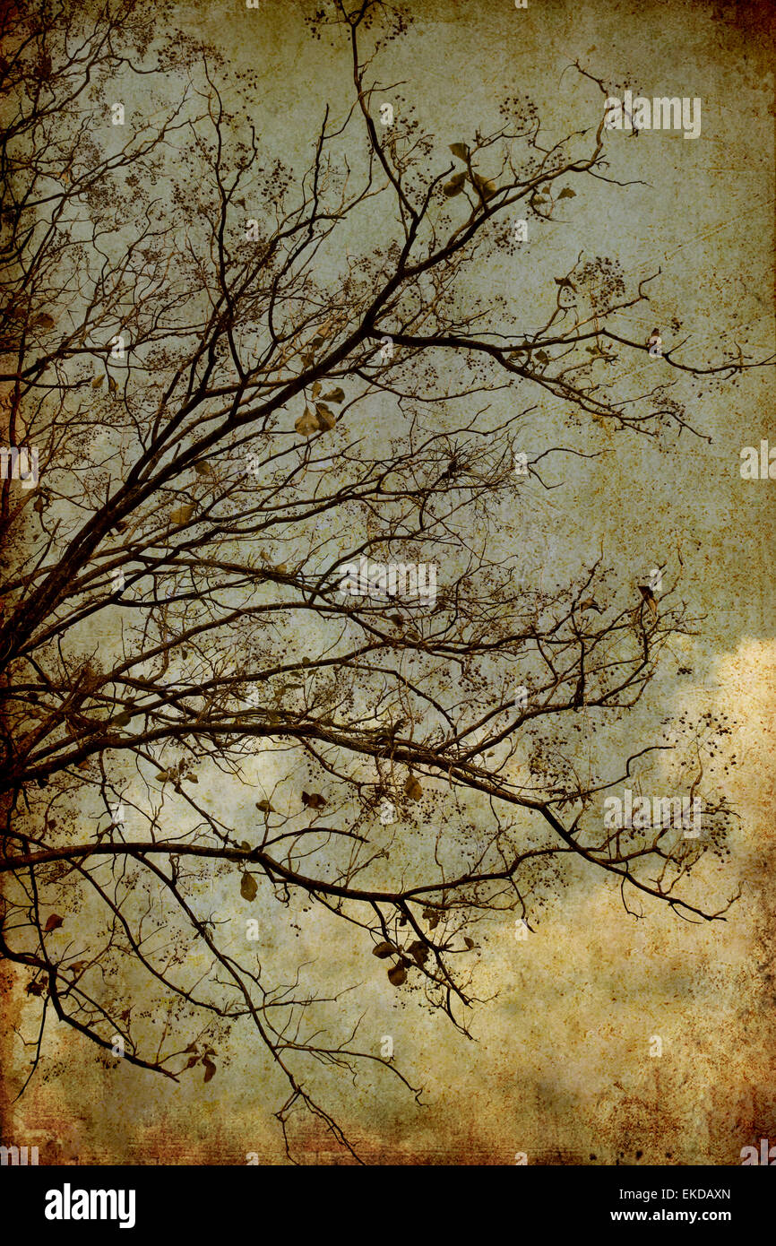 Grunge image of silhouette tree Stock Photo - Alamy