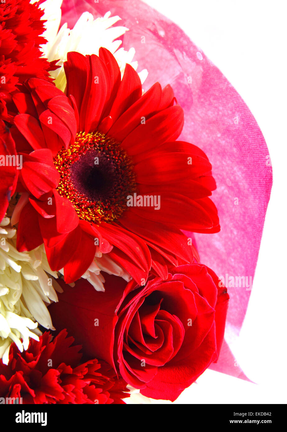 Red floral bouquet on white background Stock Photo - Alamy