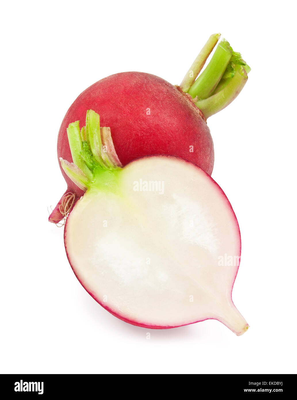 Circle of radish hi-res stock photography and images - Alamy