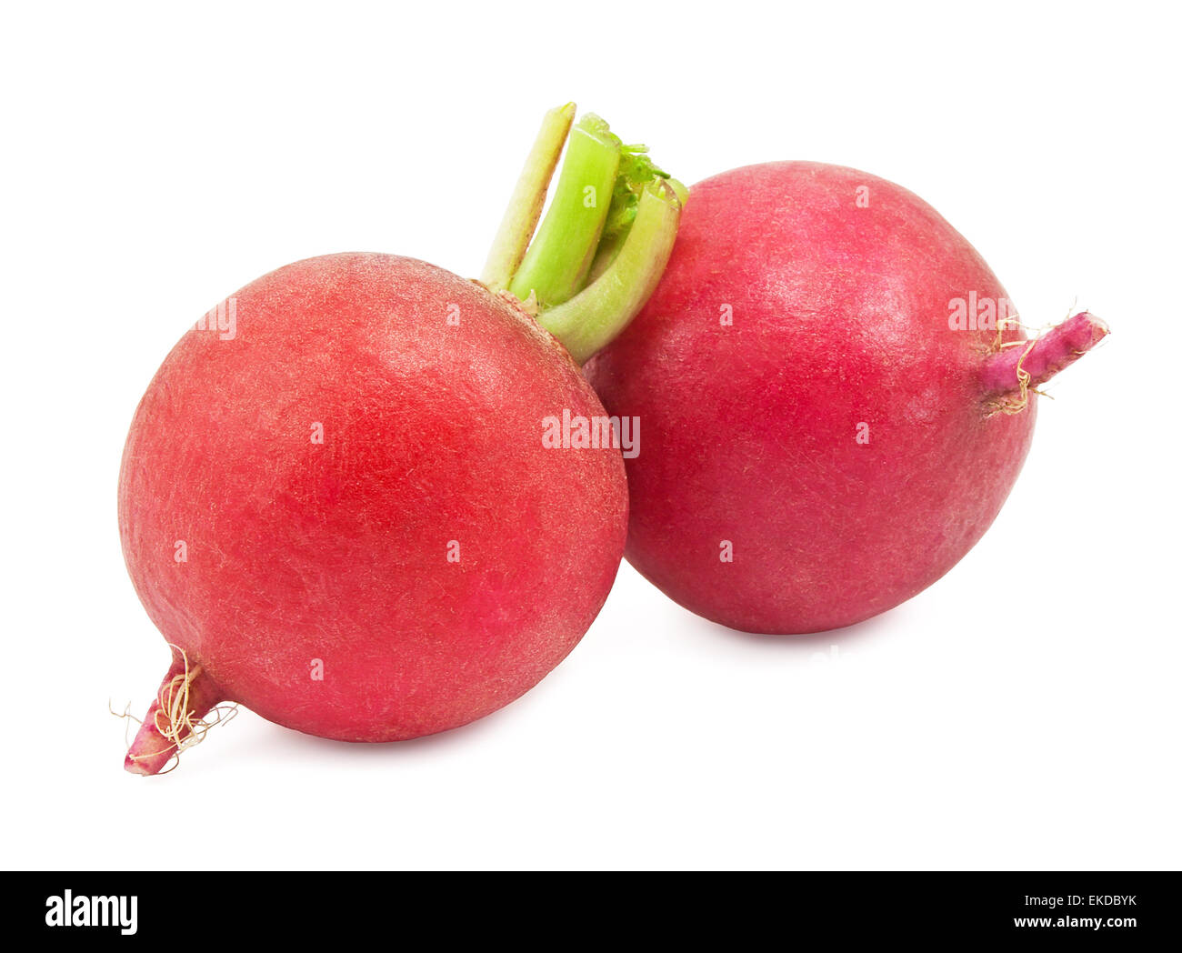 Circle of radish hi-res stock photography and images - Alamy