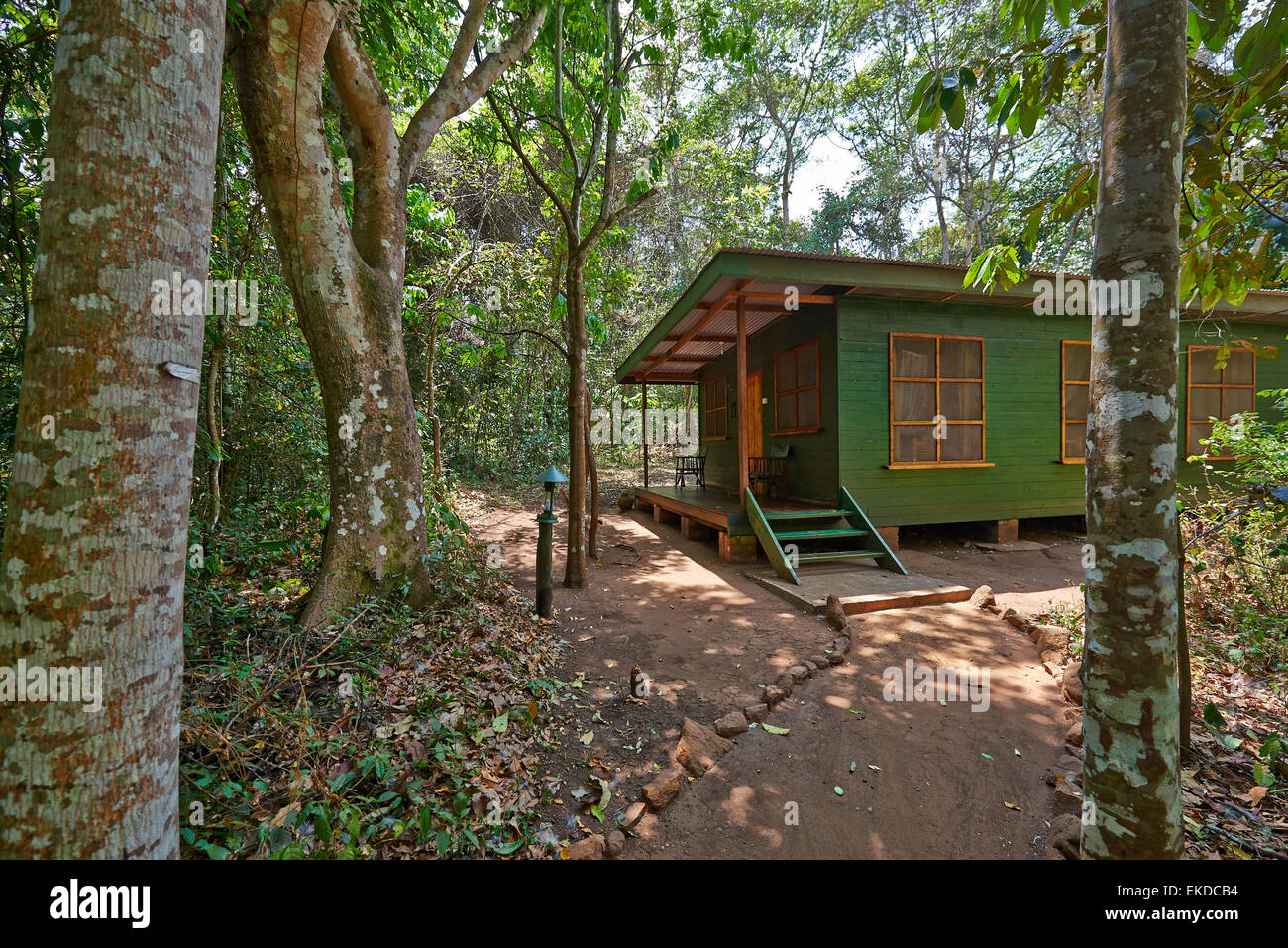 Budongo Eco Lodge, Murchison Falls National Park, Uganda, Africa Stock ...