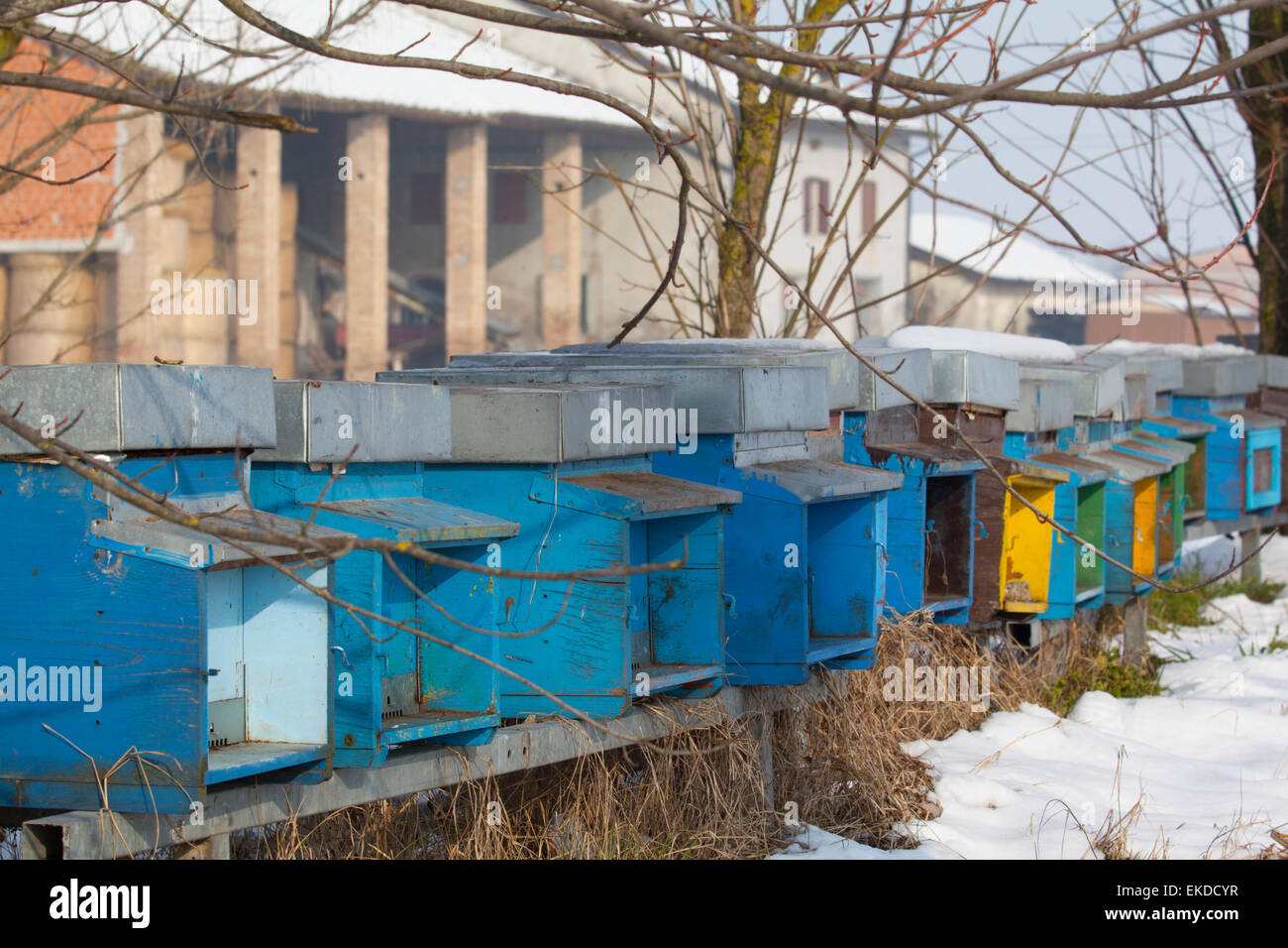 Honey bee hives italy hi-res stock photography and images - Alamy