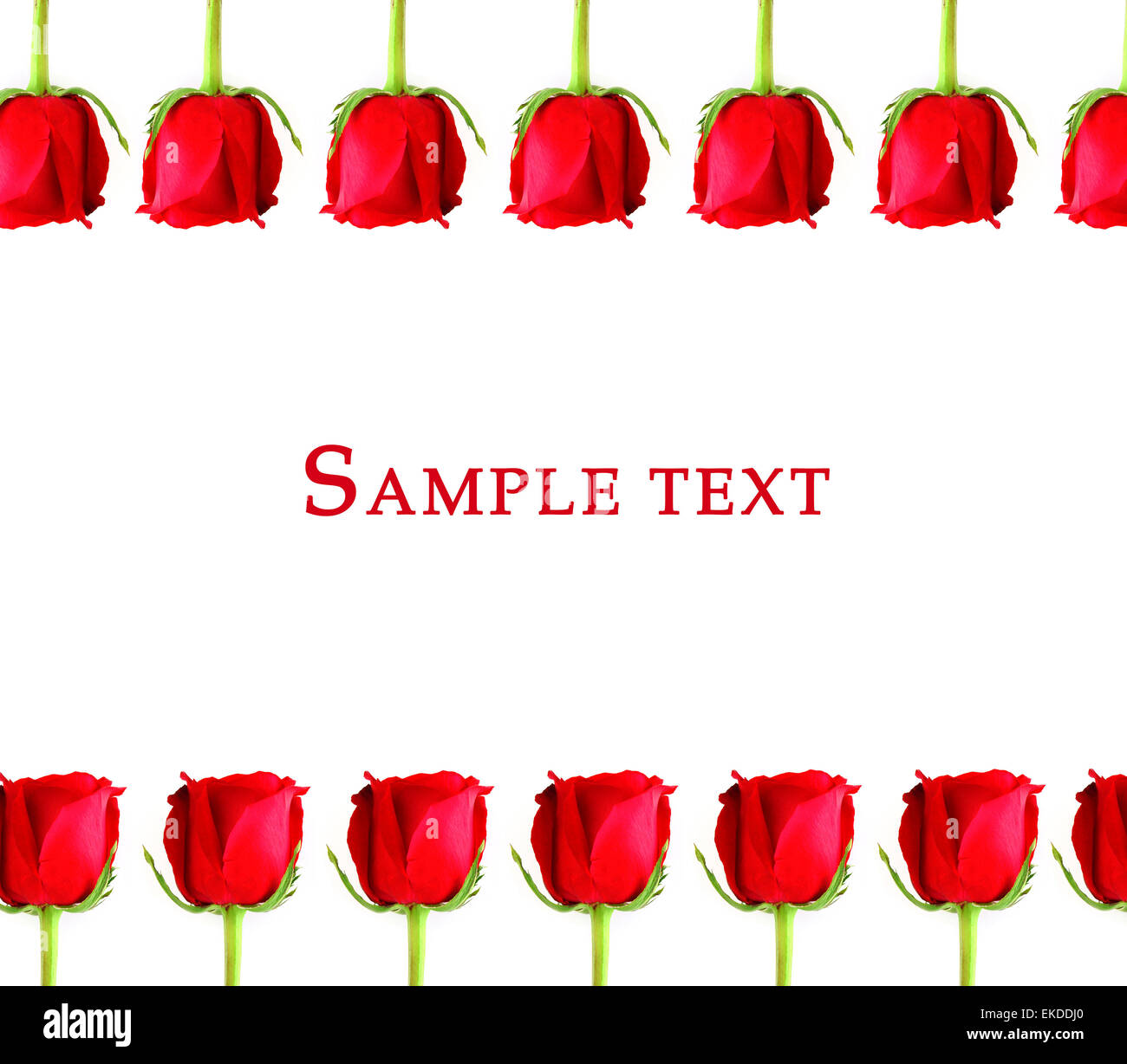 Red rose border frame hi-res stock photography and images - Alamy