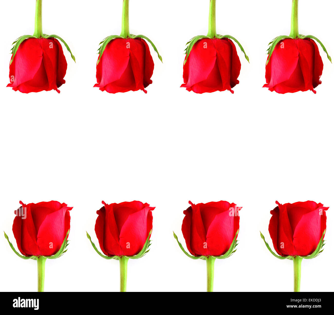 Red rose border frame hi-res stock photography and images - Alamy
