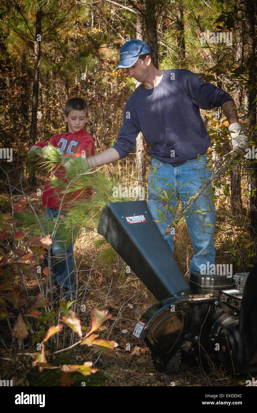 Yard family trees woods autumn hi-res stock photography and images - Alamy