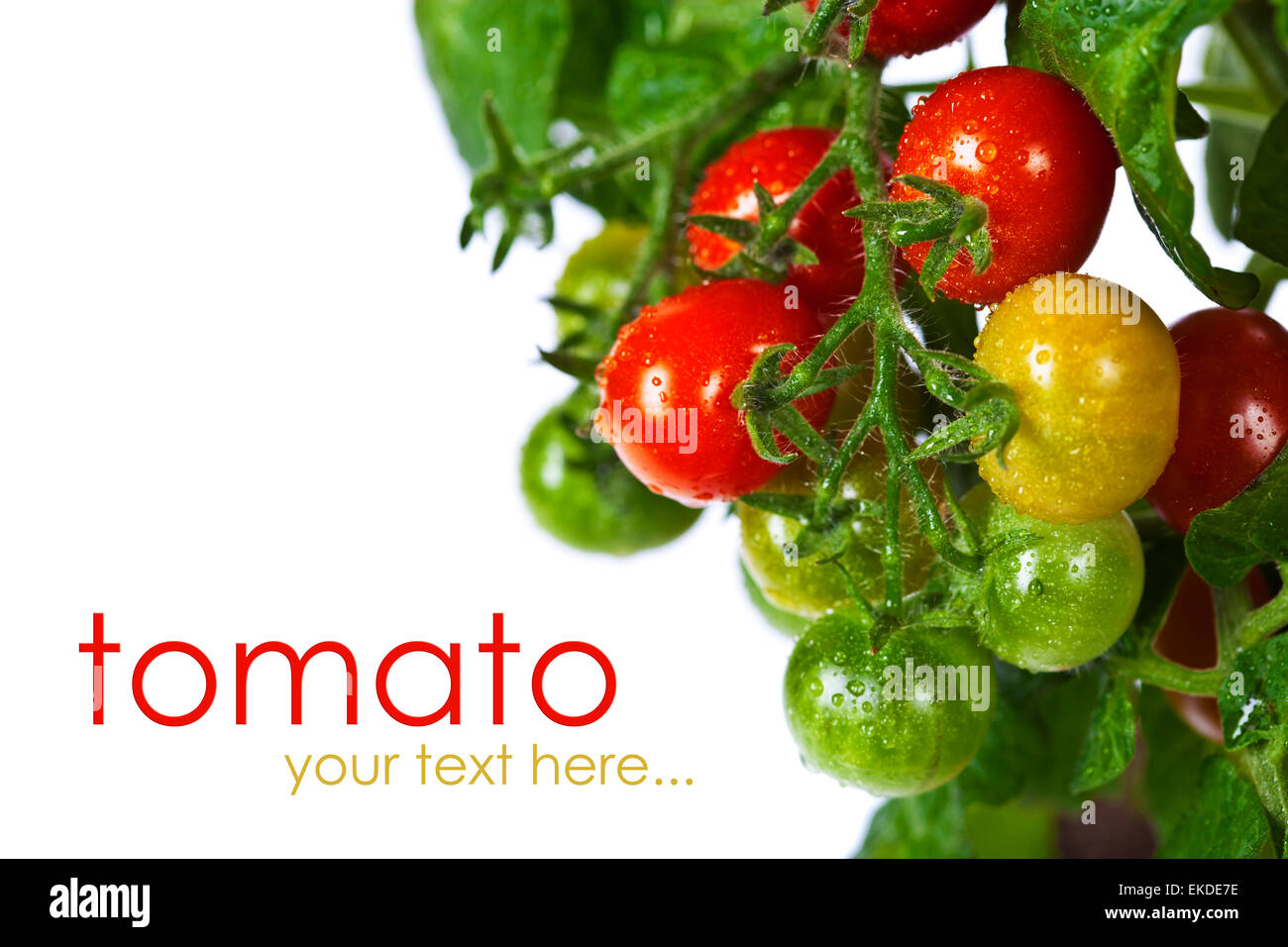 Ripe garden tomatoes Stock Photo - Alamy