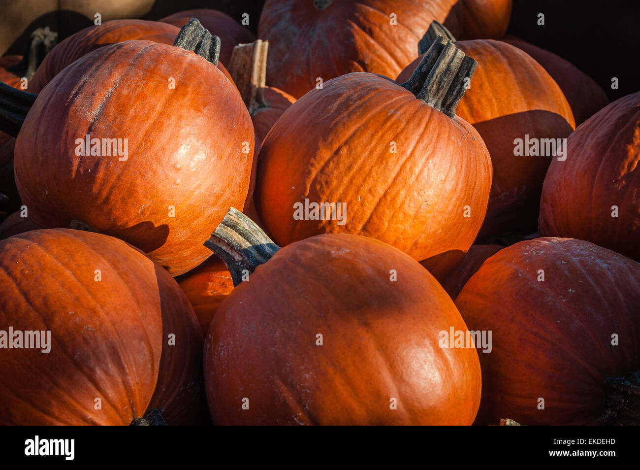 Farm fresh vegetable sales Stock Photo - Alamy