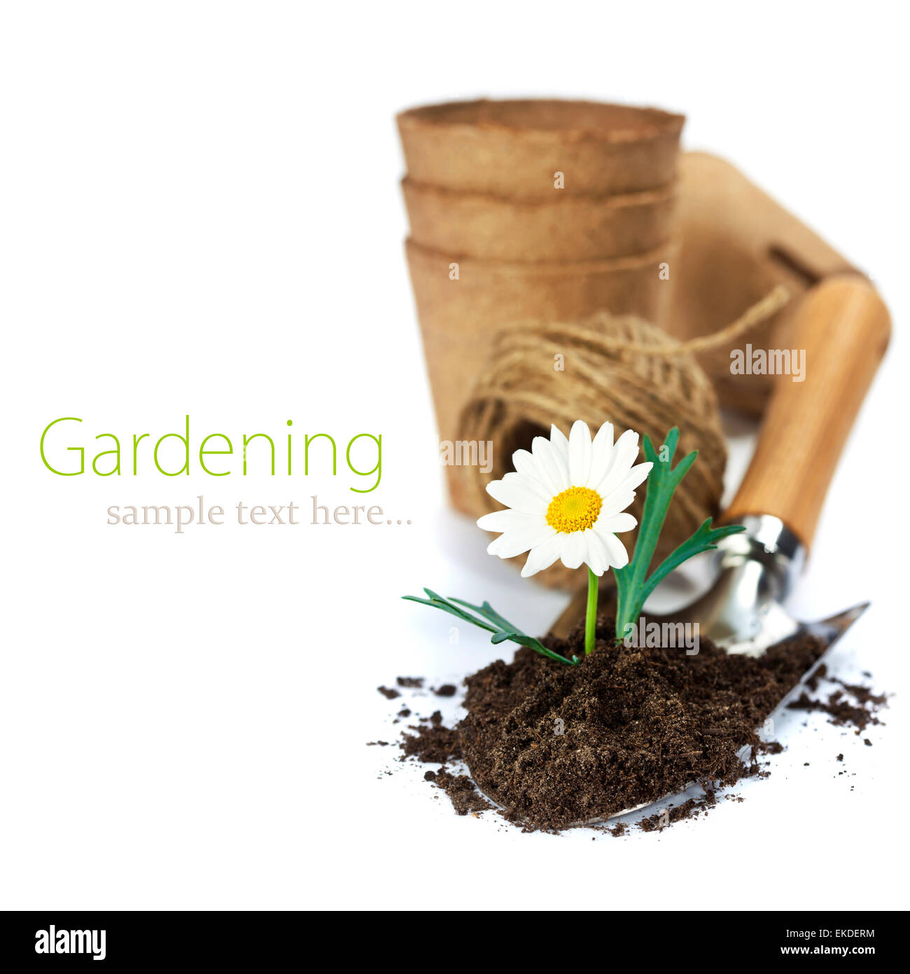 Sample garden Cut Out Stock Images & Pictures - Alamy