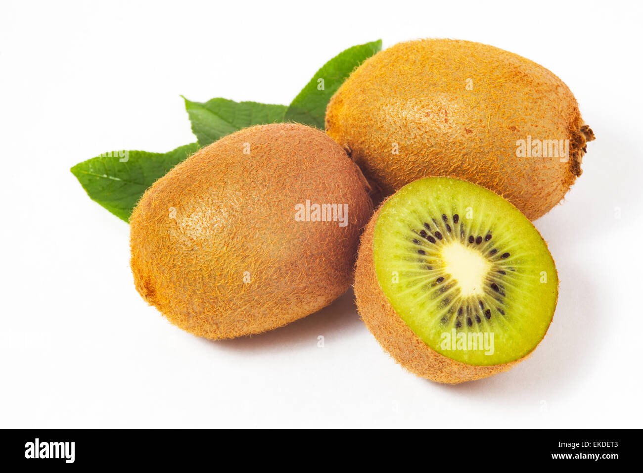 Fluffy kiwi hi-res stock photography and images - Alamy