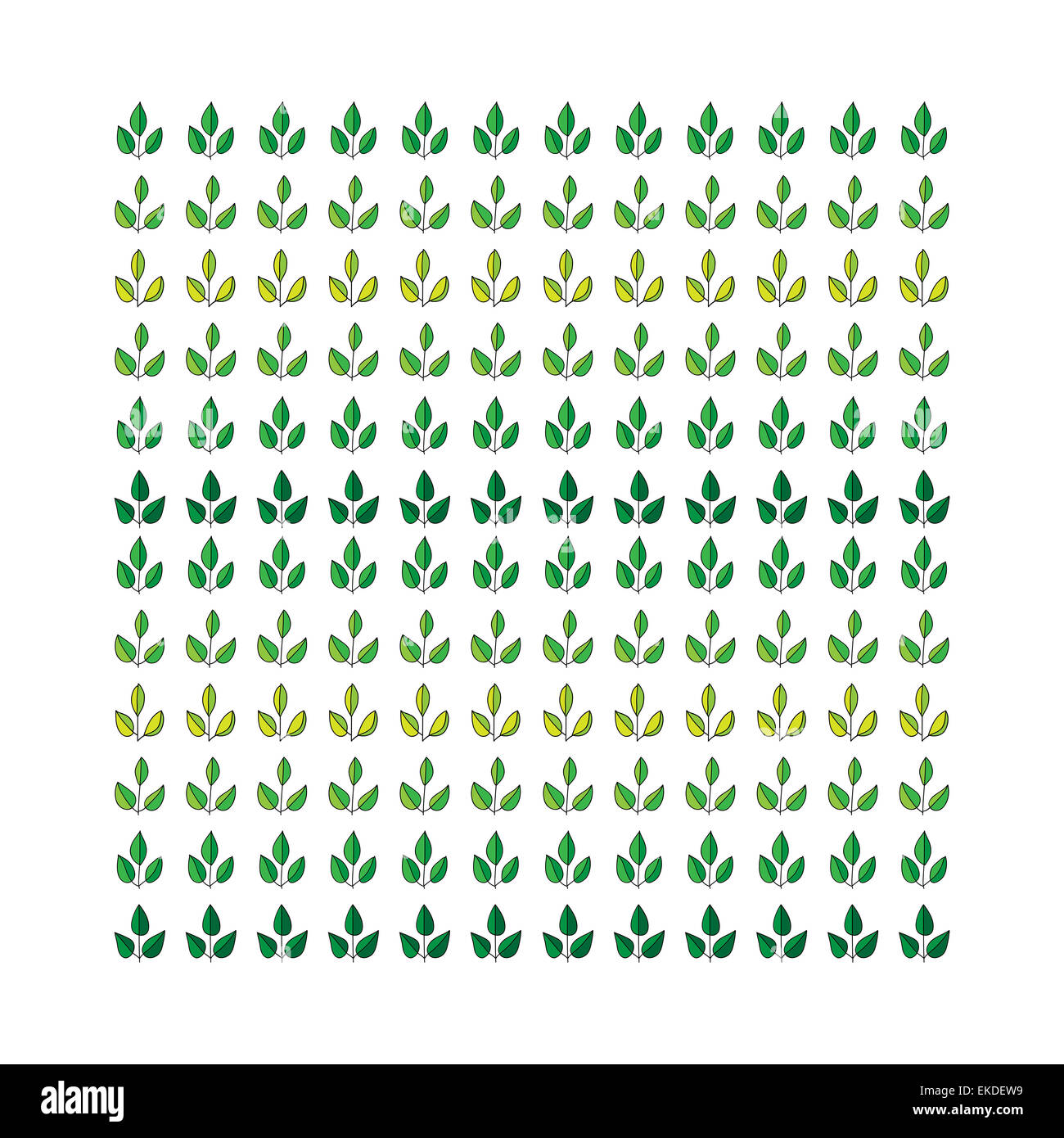 pattern of leaves Stock Photo - Alamy
