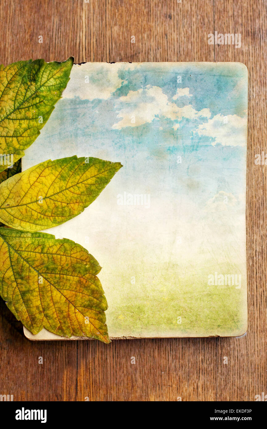 Autumn paper hi-res stock photography and images - Alamy