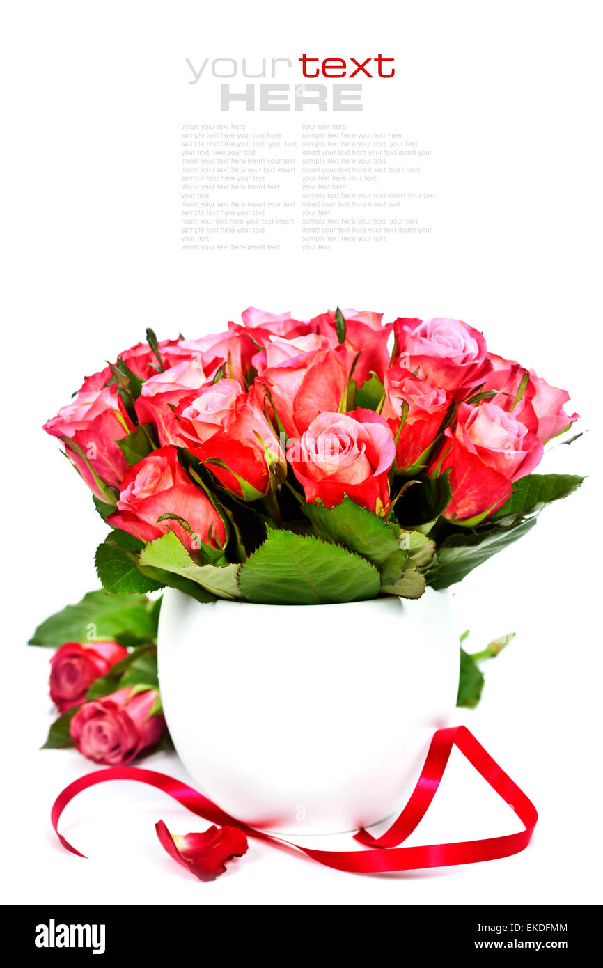 Light pink roses Cut Out Stock Images & Pictures - Alamy