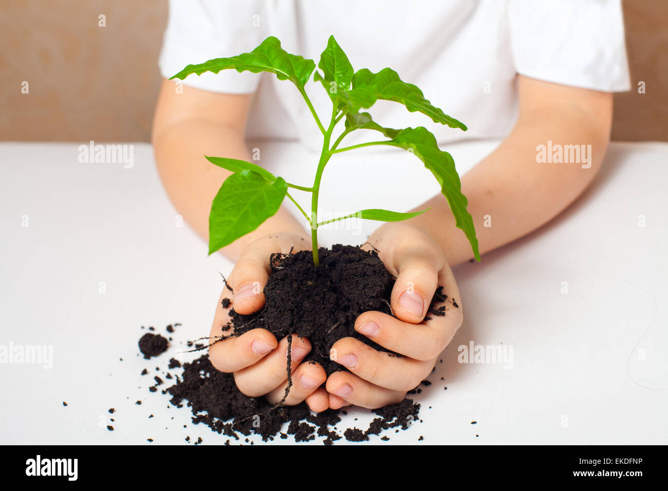 Human plant hi-res stock photography and images - Alamy