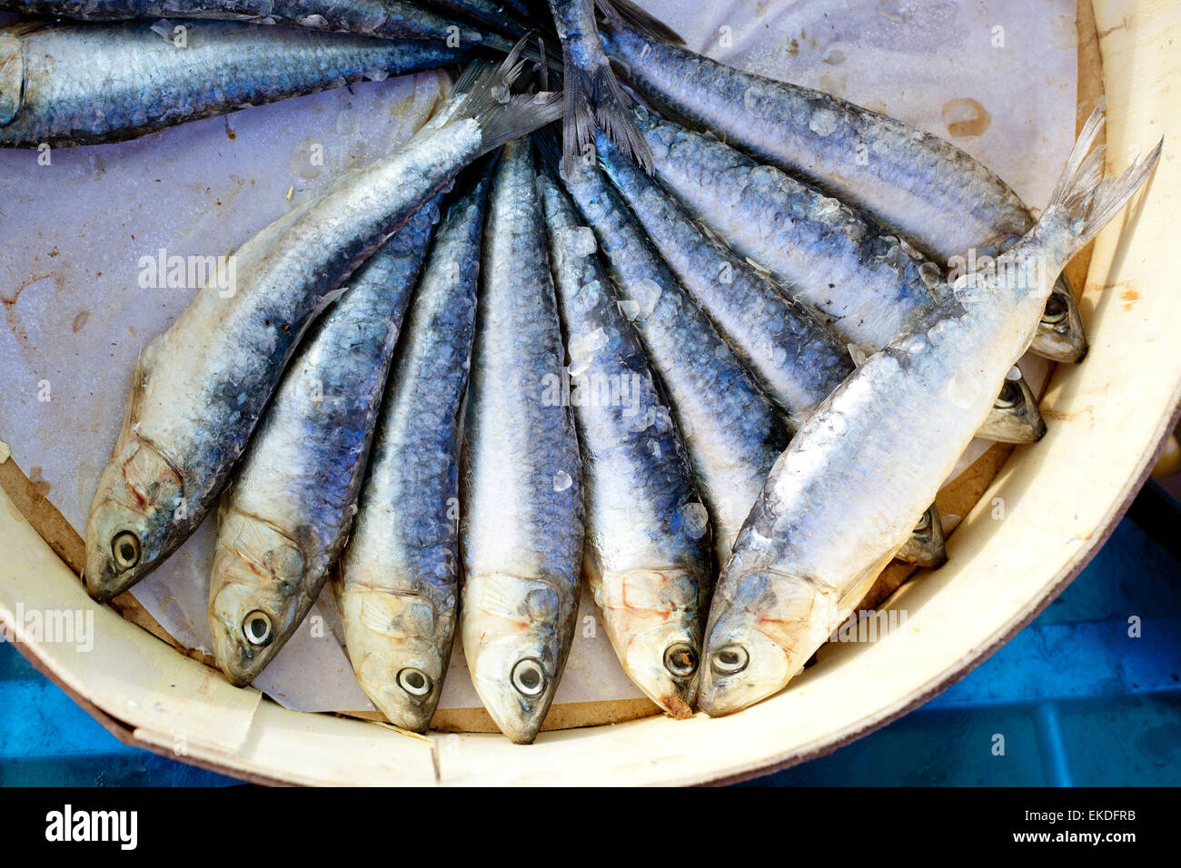 brine salted sardines in round wood box Stock Photo - Alamy