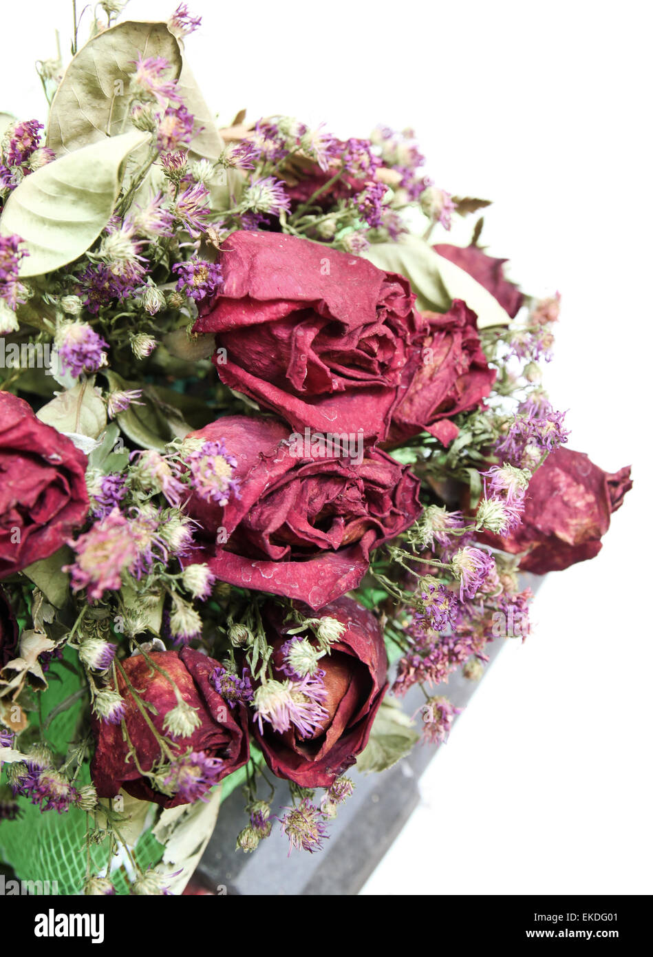 bouquet of dried roses on white background Stock Photo - Alamy