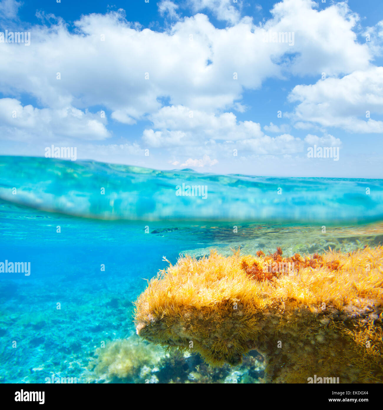 Ibiza Formentera underwater waterline blue sky Stock Photo - Alamy