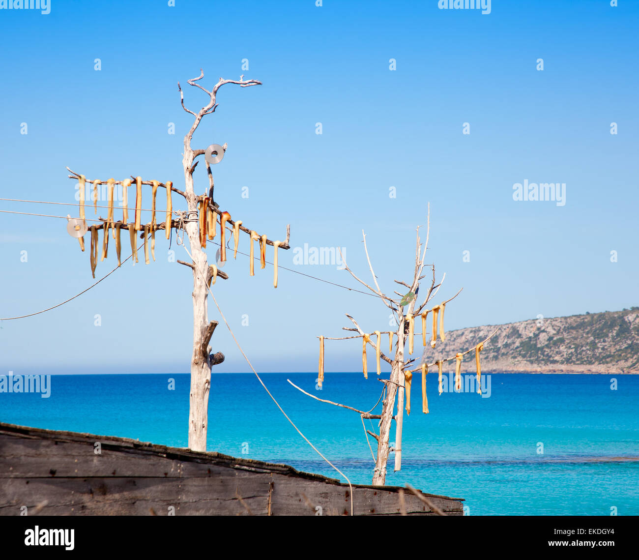 Peix sec formentera hi-res stock photography and images - Alamy