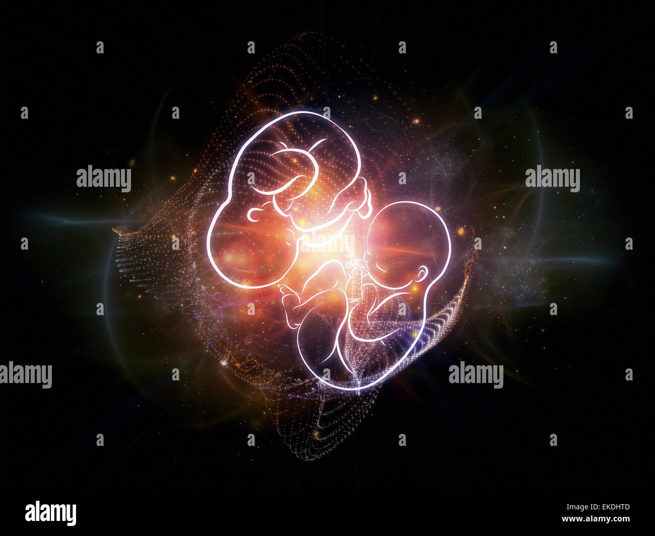 Fetus in utero fetal development hi-res stock photography and images ...