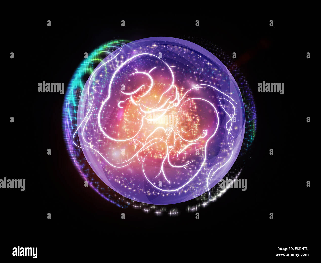 Spheres of the Fetus Stock Photo - Alamy