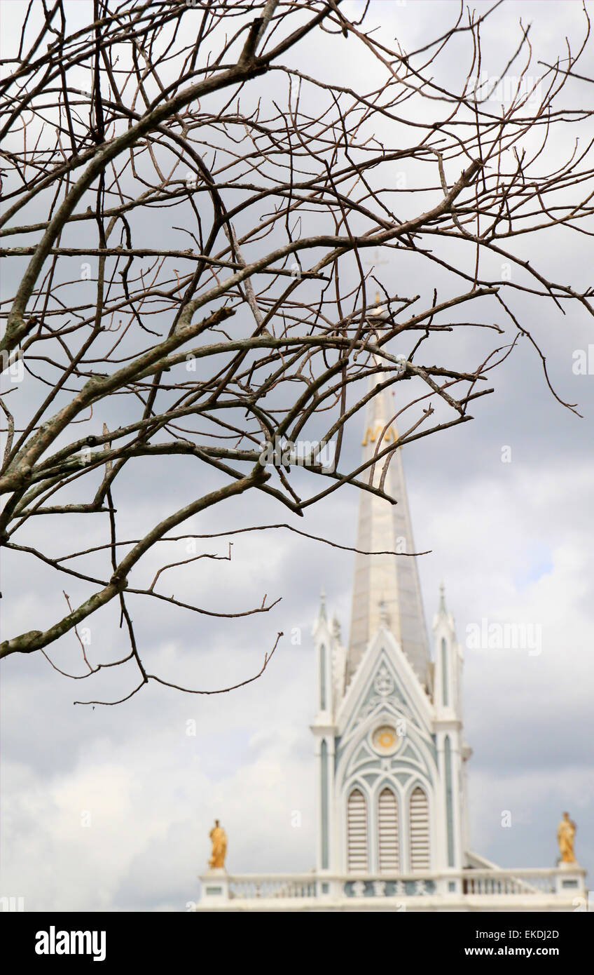 Branch of tree with White Cathedral church Stock Photo - Alamy
