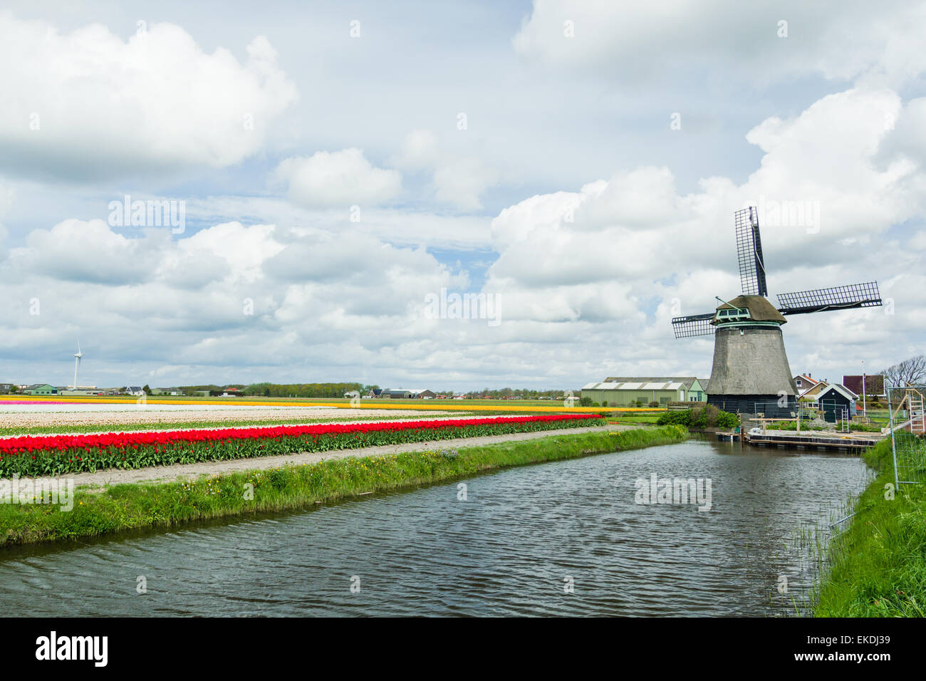 Dutch windmill. Netherlands Stock Photo - Alamy